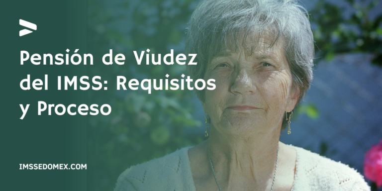 Cómo descargar tu recibo de nómina del IMSS Bienestar - Clinicas IMSS ...